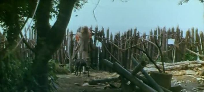 Жизнь и удивительные приключения Робинзона Крузо (1972) смотреть онлайн | Memocast