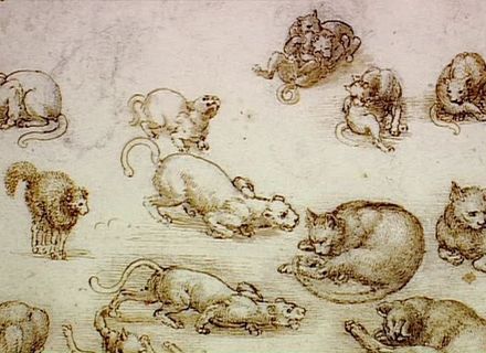 Леонардо да Винчи BBC 1 серия смотреть онлайн | Memocast