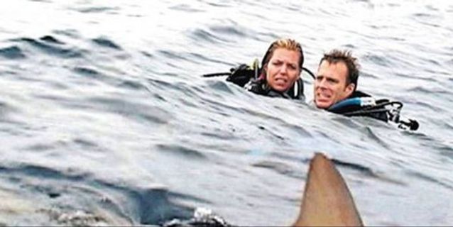 Открытое море (2003) смотреть онлайн | Memocast