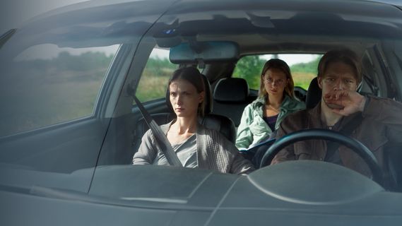 Вы меня видели? (2024) смотреть онлайн | Memocast