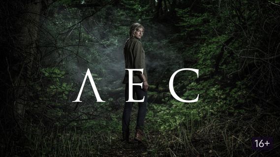 Лес 1 сезон 4 серия смотреть онлайн | Memocast